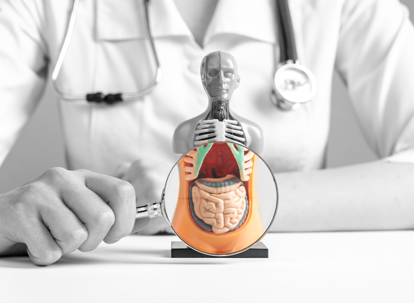 Visceral and digestive surgery - Clinique Méditerranéenne