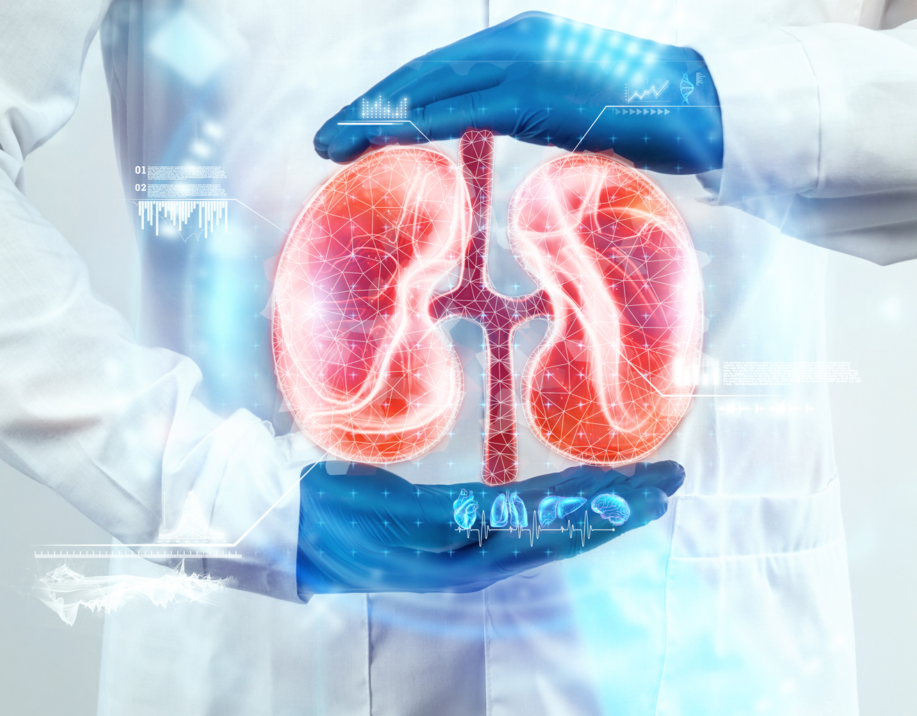 Néphrologie - Clinique Méditerranéenne