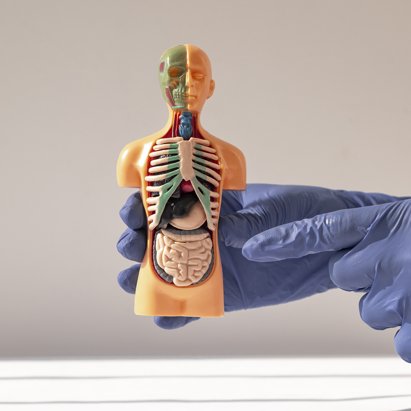 Visceral surgery Centre - Clinique Méditerranéenne