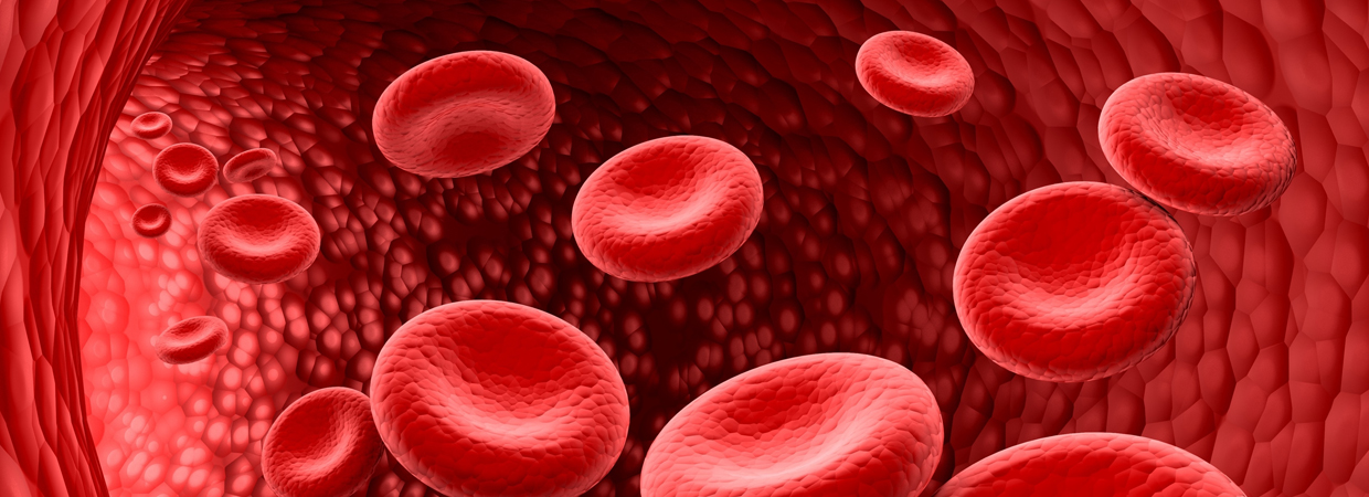 Leukaemia - Clinique Méditerranéenne